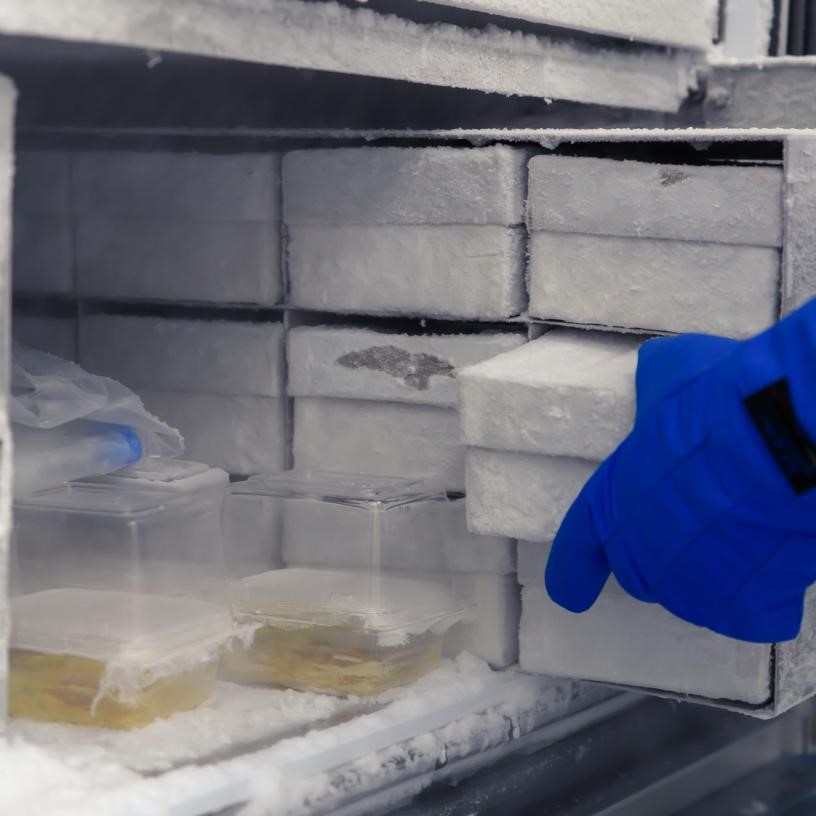 Why Your Modern Laboratory Needs A ULT Freezer